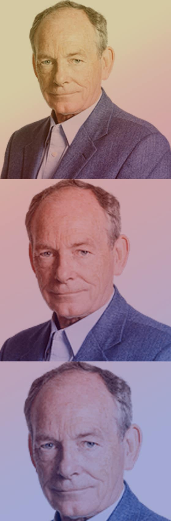 Simon Jenkins - Radix Think Tank Simon Jenkins - Radix Think Tank